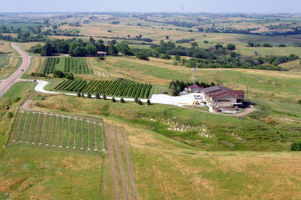 Miletta Vista Winery