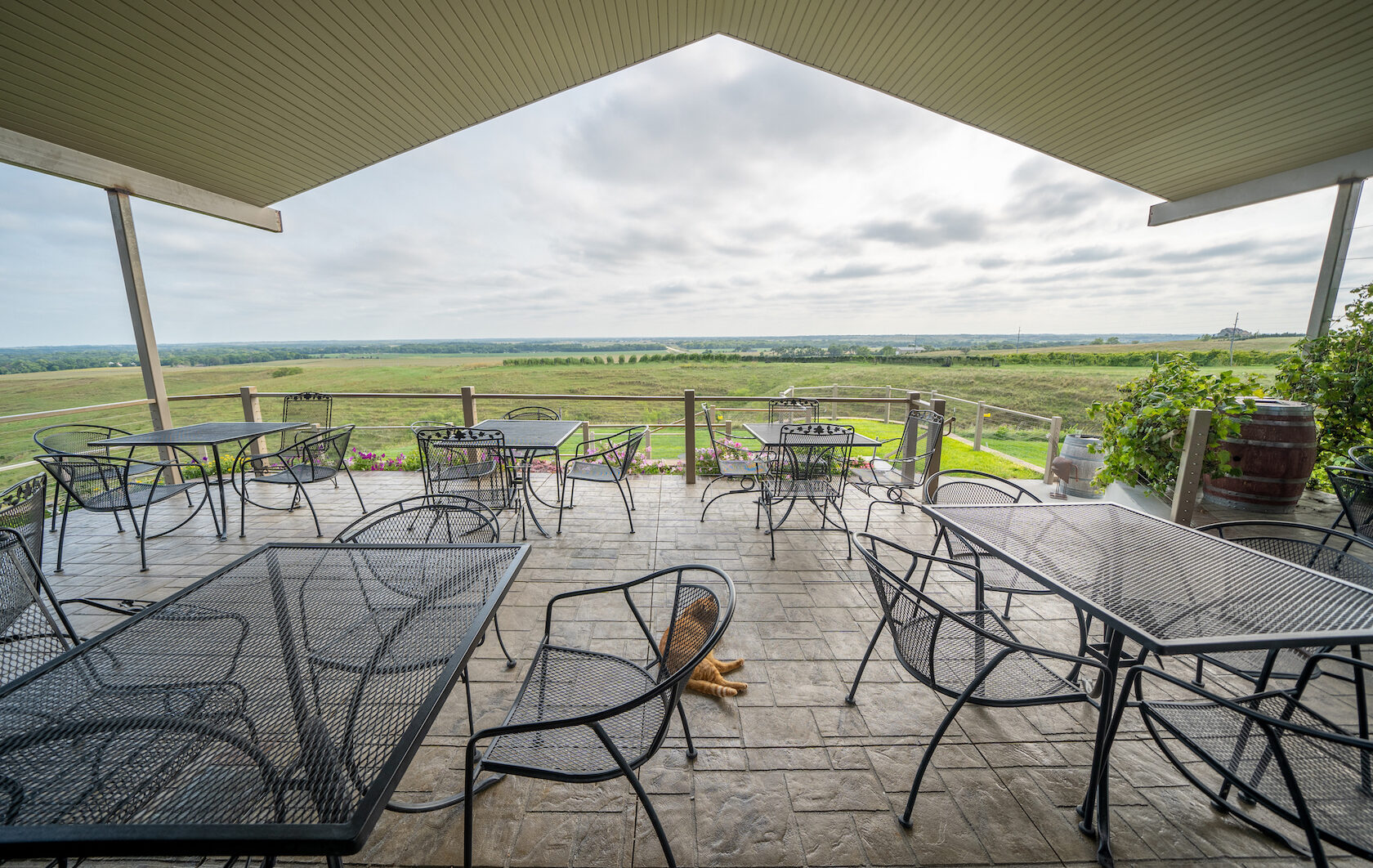 patio view – Miletta Vista Winery